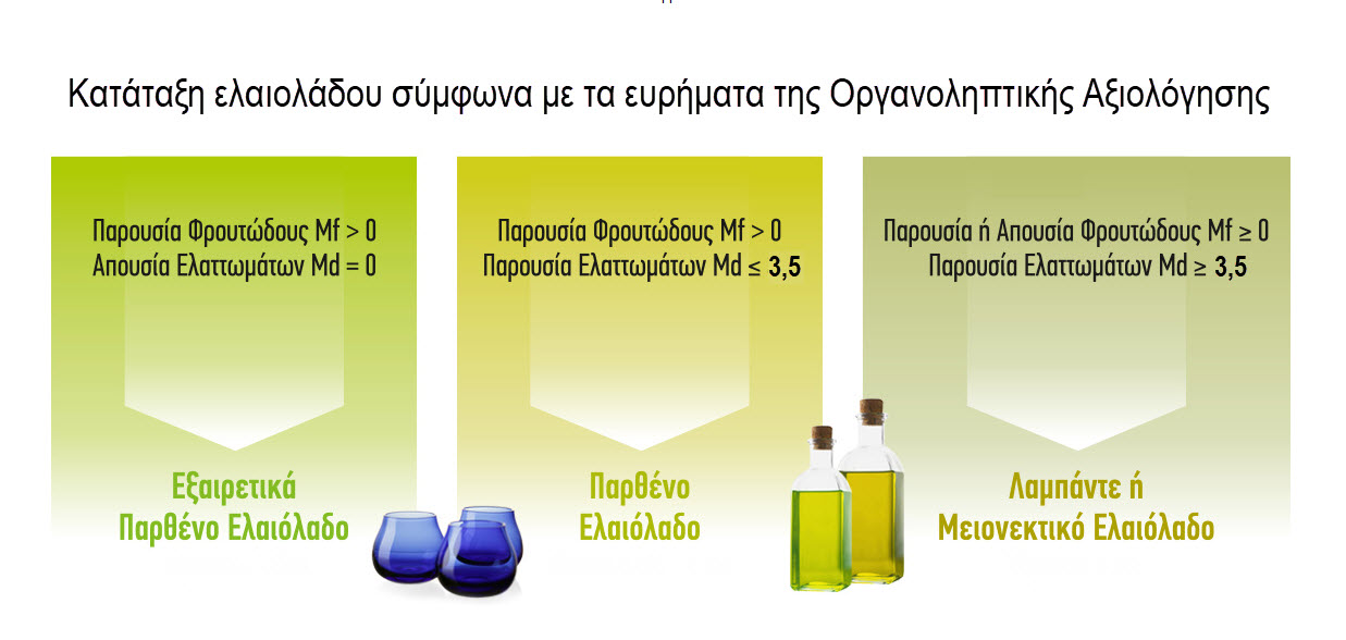 Ποιότητα - οργανοληπτική αξιολόγηση ελαιόλαδου - Οργανοληπτικό ...